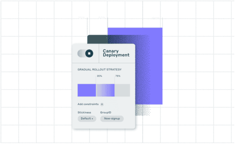 What is a kill switch in software development?